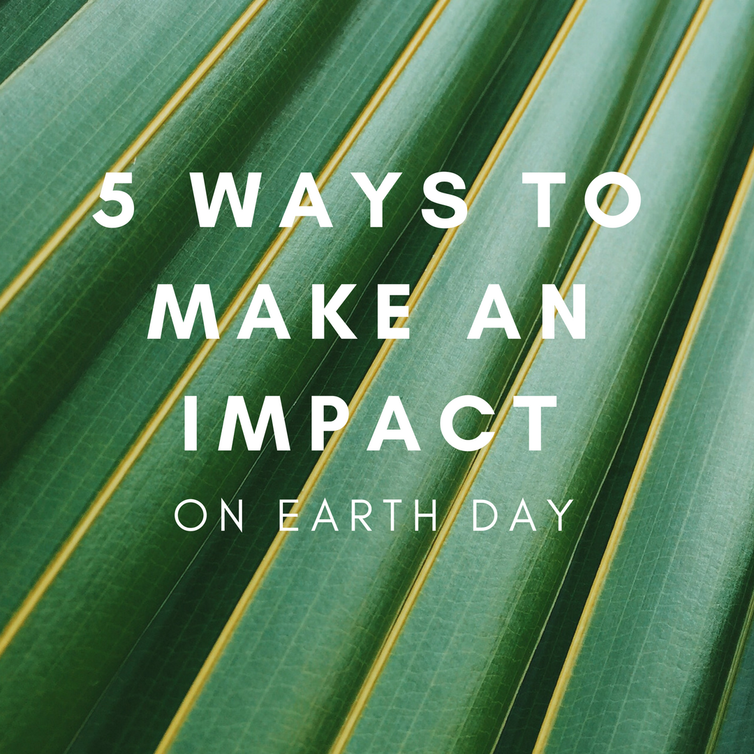 5 Ways You Can Make An Impact On Earth Day